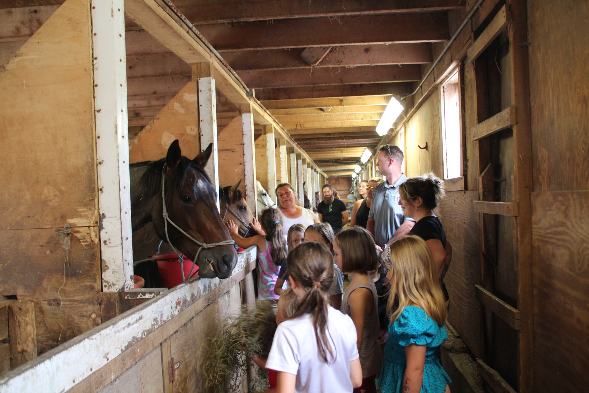 Horseback Riding | Poultney Recreation
